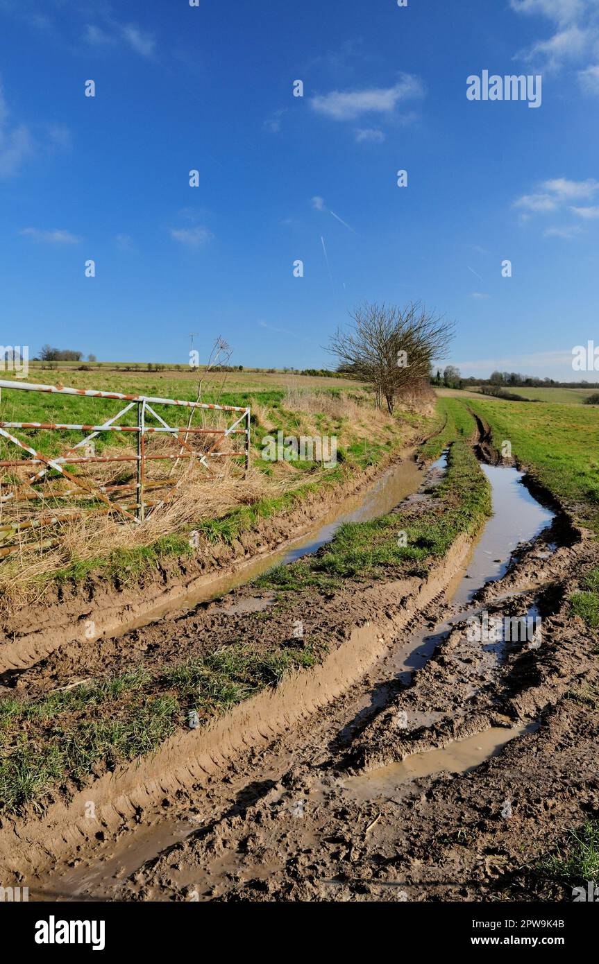 A waterlogged track along a public right of way in open countryside ...
