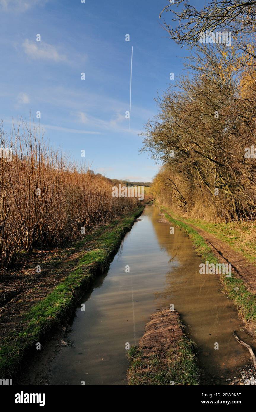 A waterlogged track along a public right of way in open countryside ...