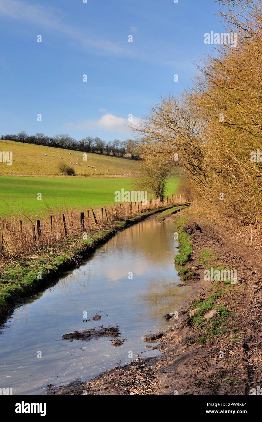 A waterlogged track along a public right of way in open countryside ...