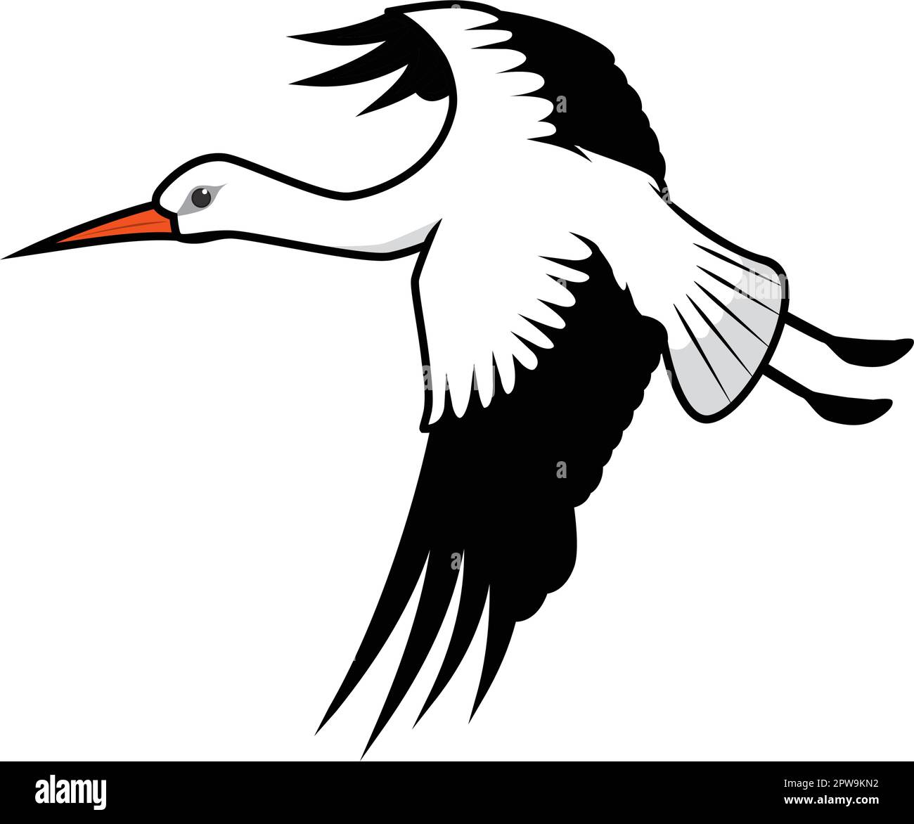 Detailed Flying Stork Illustration Stock Vector Image & Art - Alamy