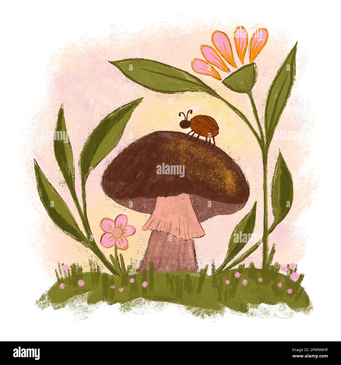 Hand drawn forest mushroom with flowers ladybug, edible poisonous fungi ...