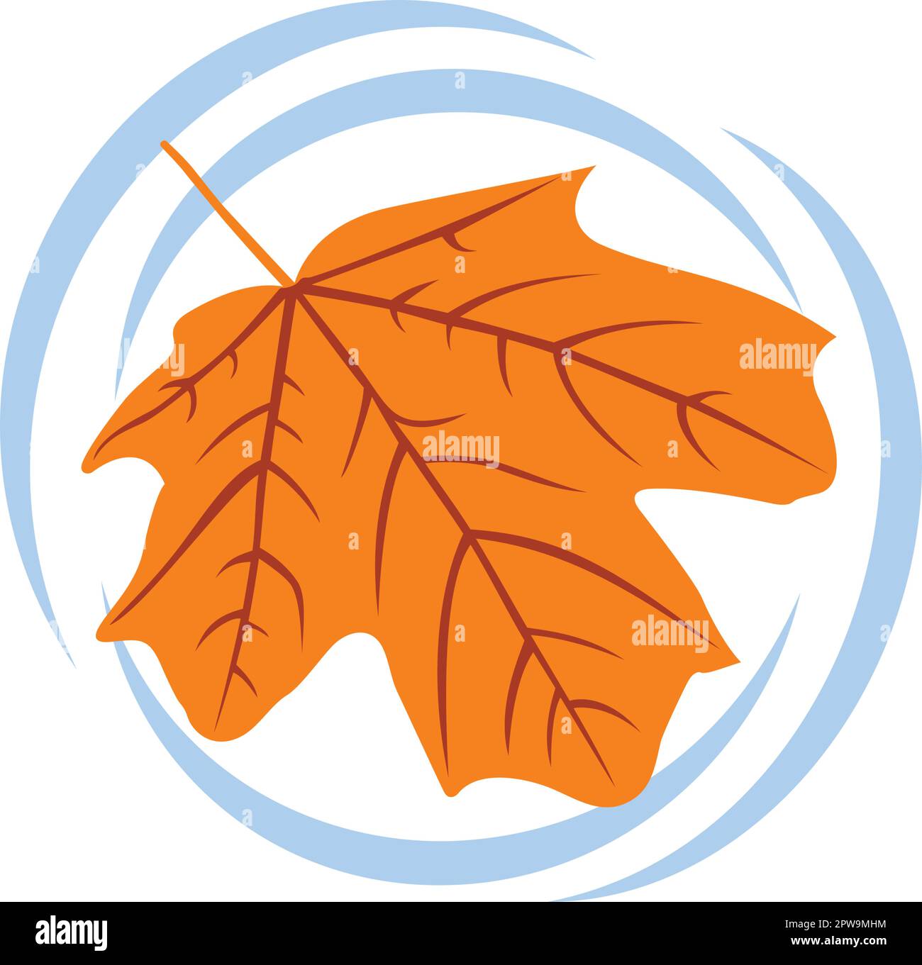 Maple Leaf Fall On The Water creating Ripple Effect Illustration Stock Vector Image & Art - Alamy