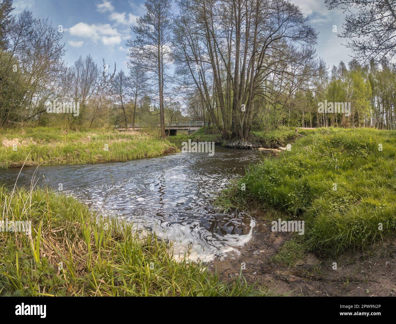 Spring on the small wild river Grabia in central Poland Stock Photo - Alamy