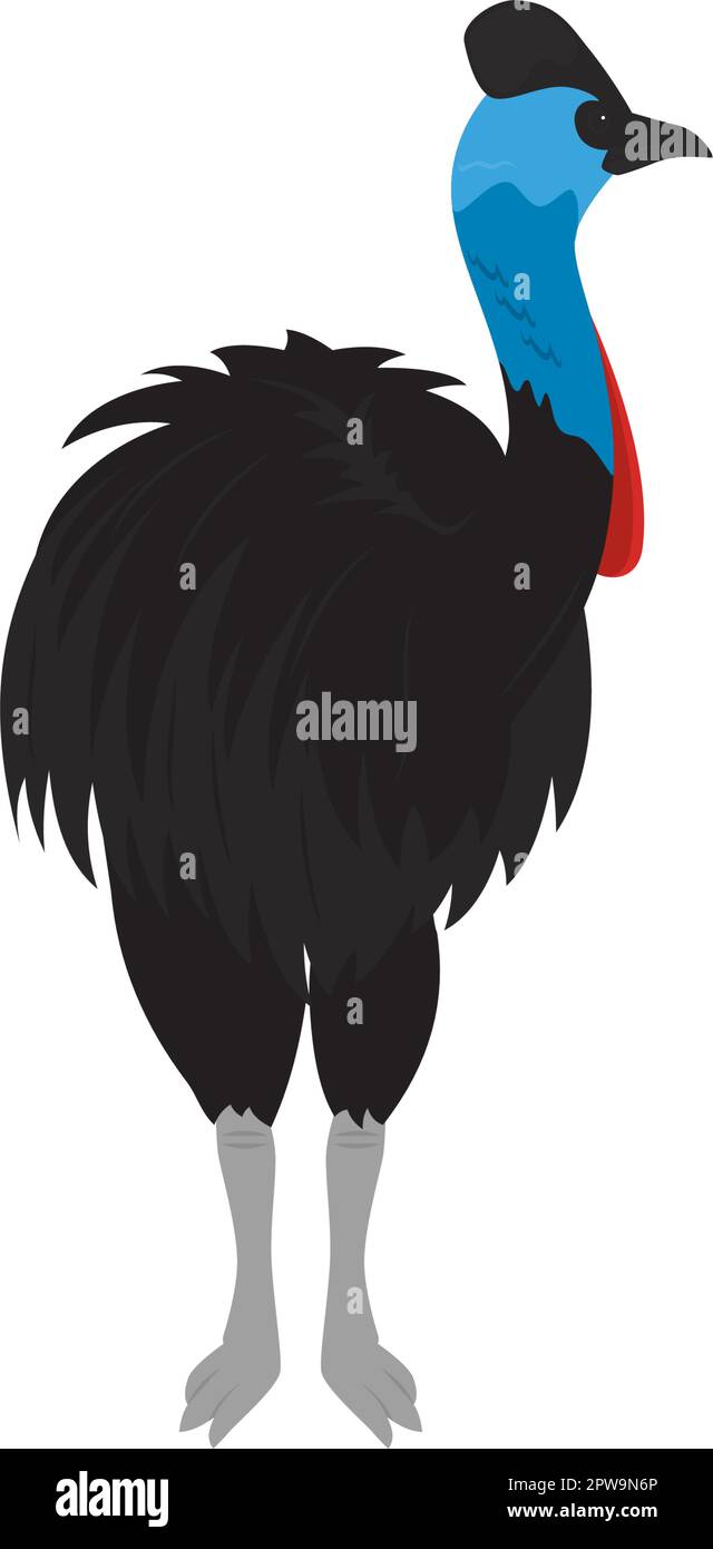Detailed Cassowary Illustration with Standing Gesture Stock Vector ...