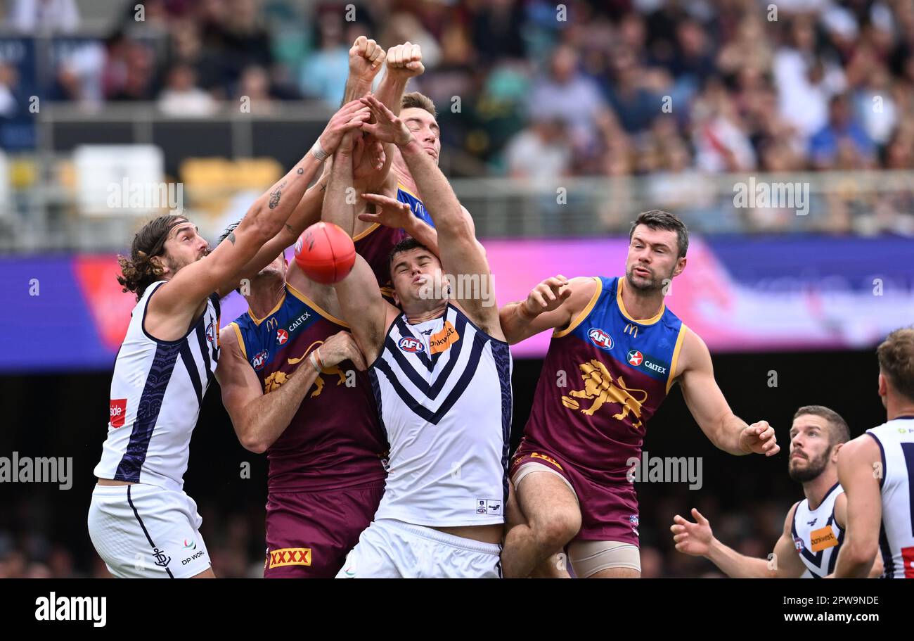 Sean Darcy (centre) of the Dockers is spoiled by Harris Andrews of the ...