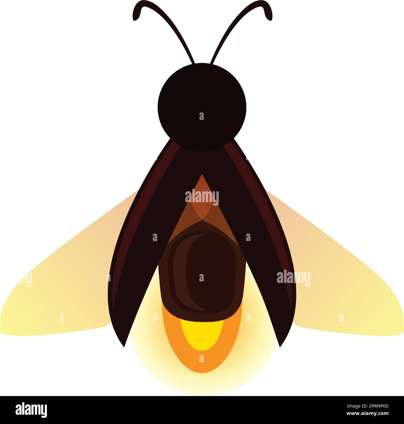 Glowing Firefly While Flying Illustration Stock Vector Image And Art Alamy