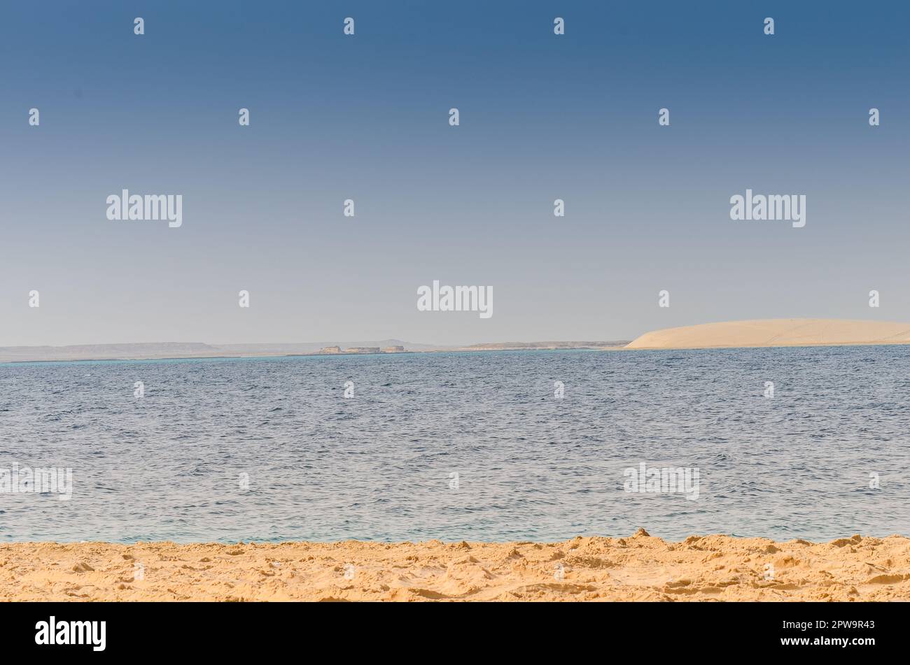 Sand dunes descending into the creek at Al-Adaid Desert in Qatar Stock ...