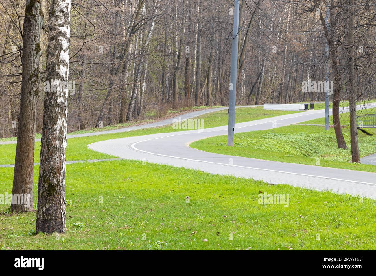 empty paved bike path in summer park. path in the park. High quality ...