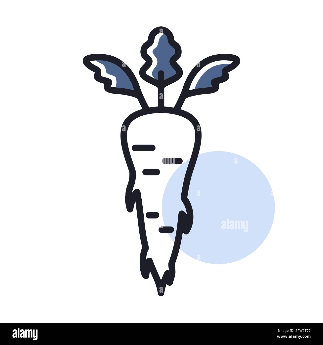 Parsley root garden Stock Vector Images - Alamy