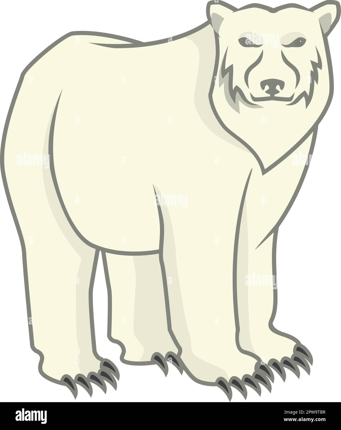 Polar Bear with Standing and Staring Gesture Illustration Stock Vector ...