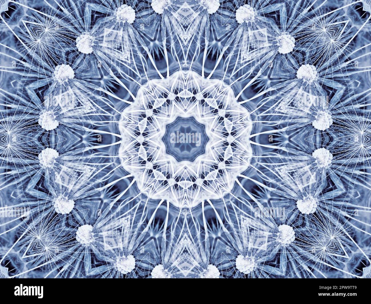 Background with abstract radial pattern of natural large dandelion ...