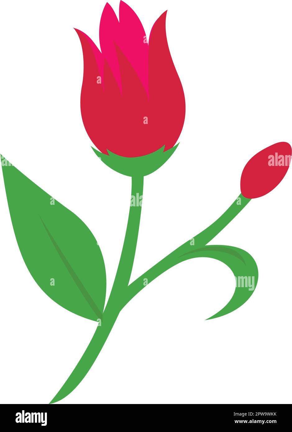 Delicate tulip blossom Stock Vector Images - Alamy