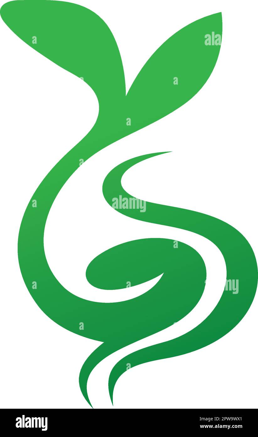 Simple Growing Sprout combined with Leaves Illustration Stock Vector ...