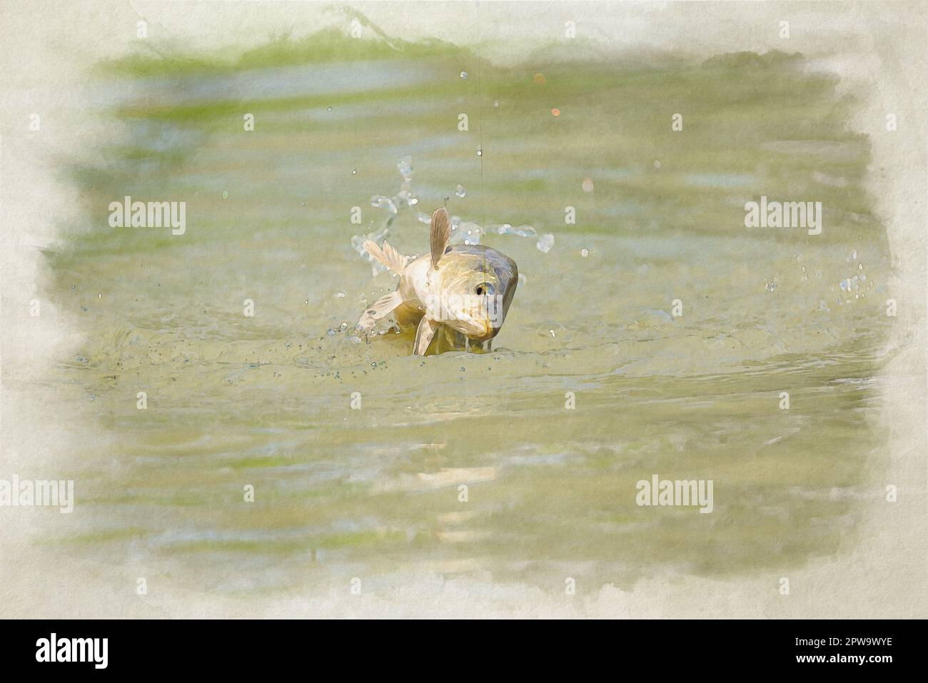 Catch of fish painting hi-res stock photography and images - Alamy