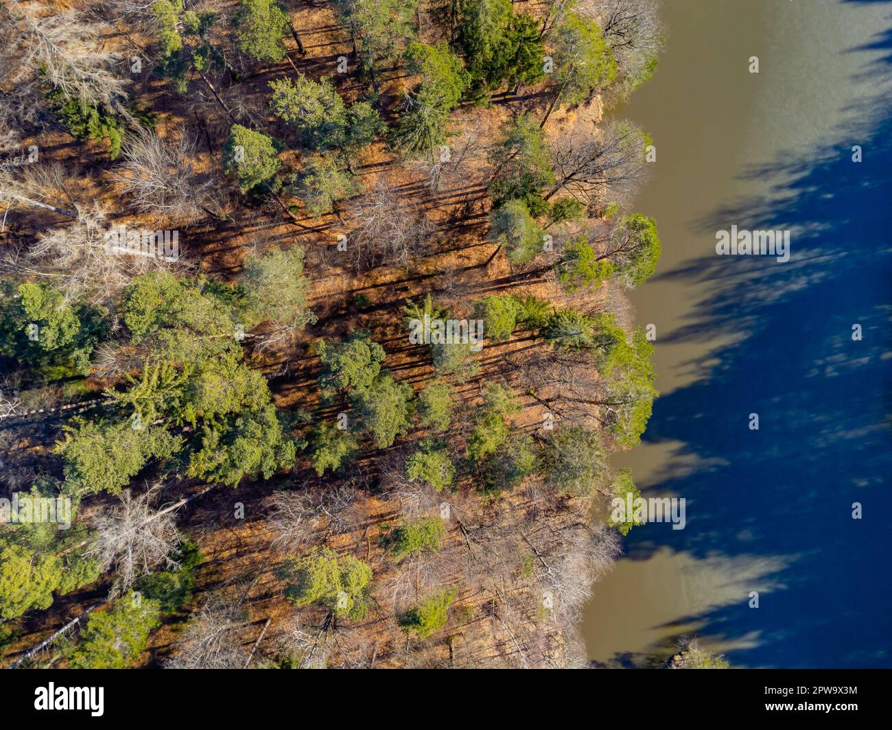 Forest at the lakeshore in autumn hi-res stock photography and images ...