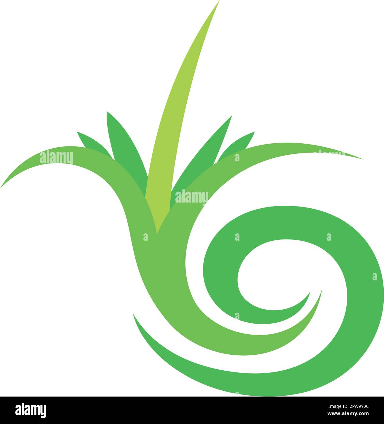 Simple Small Plant with Growing Phase Illustration Stock Vector Image ...