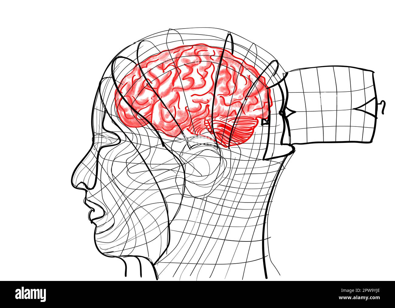 Person inside birdcage hi-res stock photography and images - Alamy