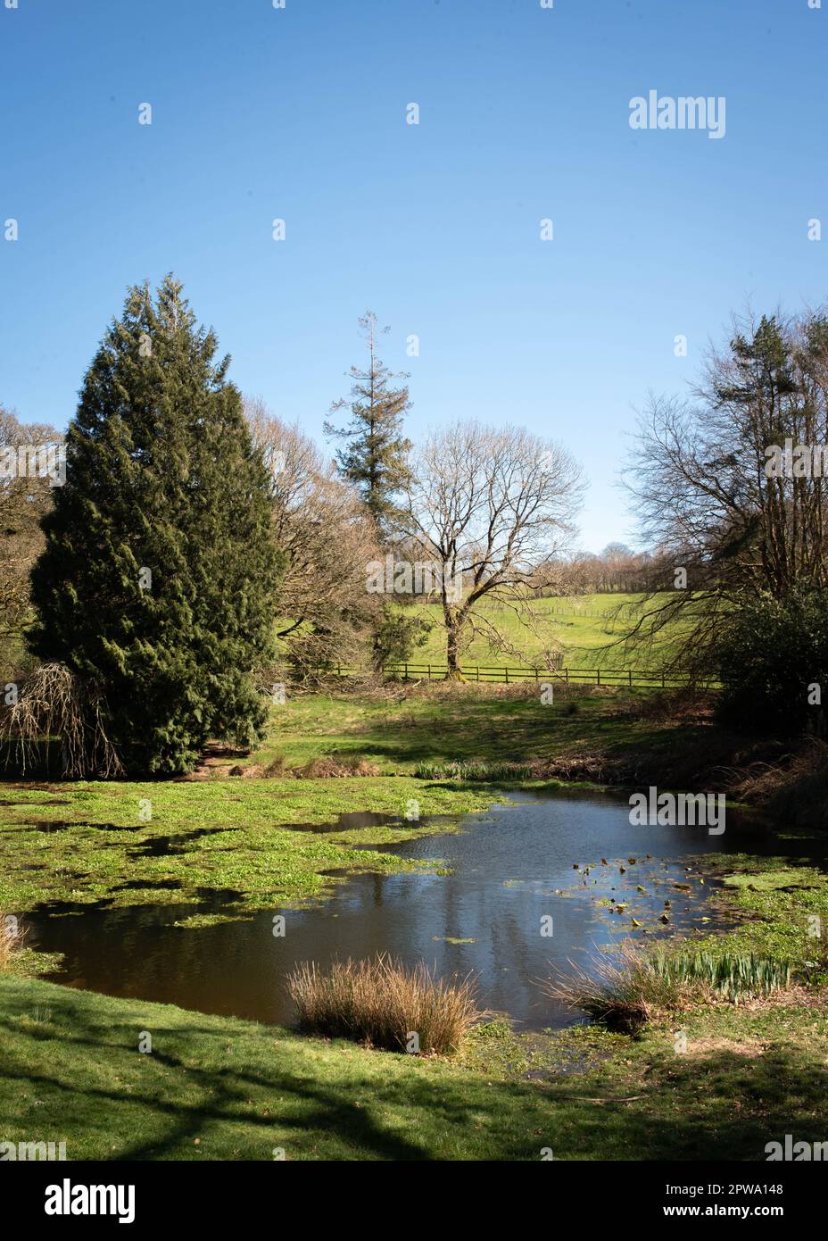 Beautiful Spring countryside walks in Arlington Court, North Devon ...