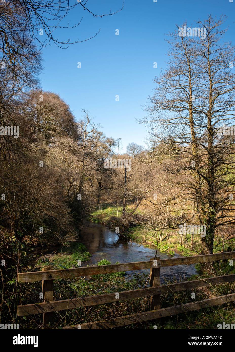 Beautiful Spring countryside walks in Arlington Court, North Devon ...