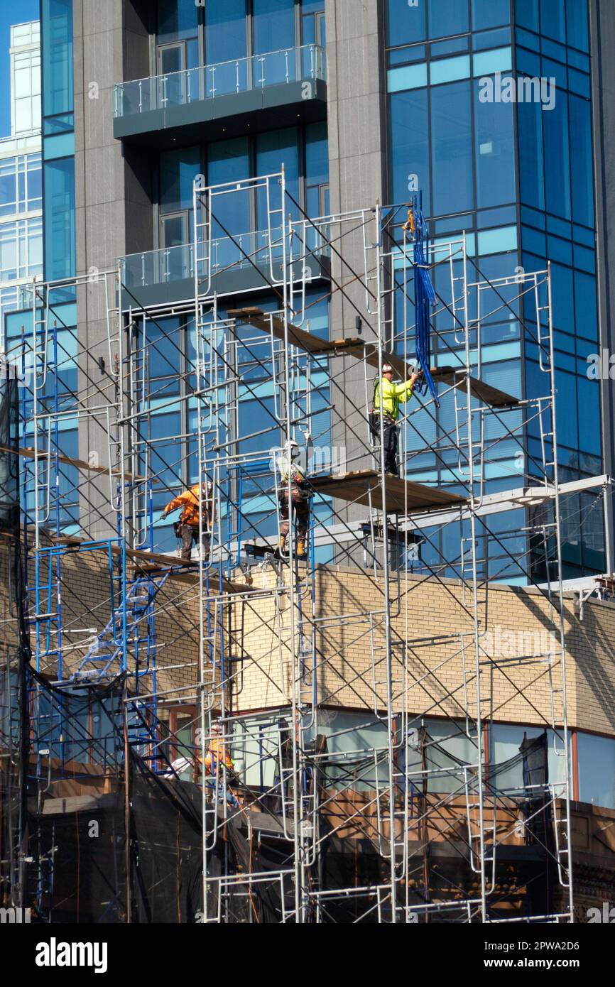 Workers constructing repointing scaffolding on an office building on ...