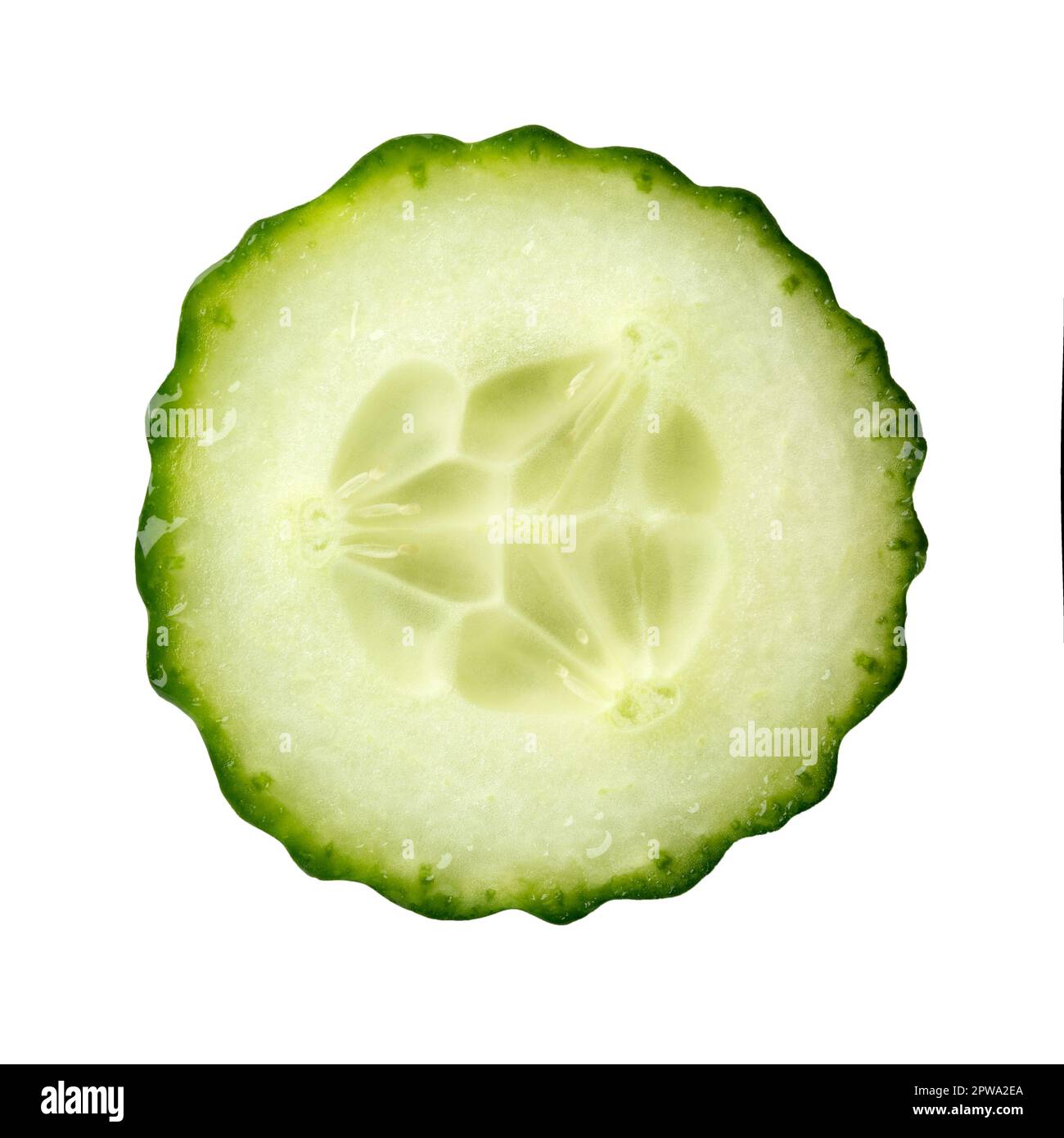 Single fresh slice of cucumber close up isolated on white background ...