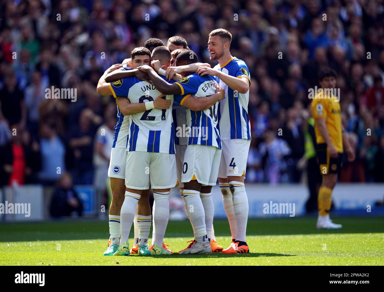 Brighton and Hove Albion's Deniz Undav celebrates scoring the opening ...