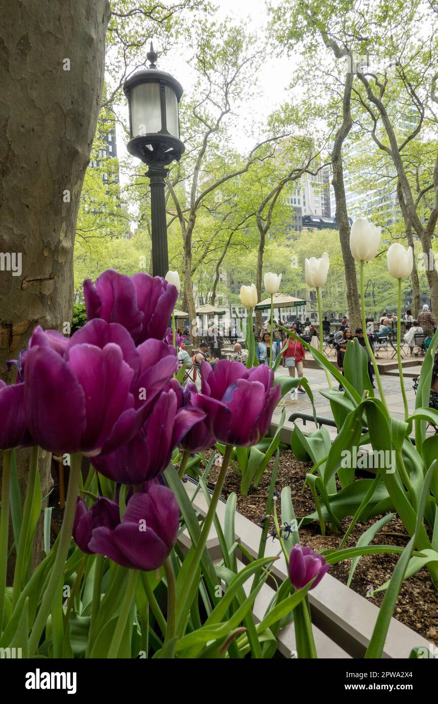 Bryant Park is an urban oasis behind the main building at the New York ...