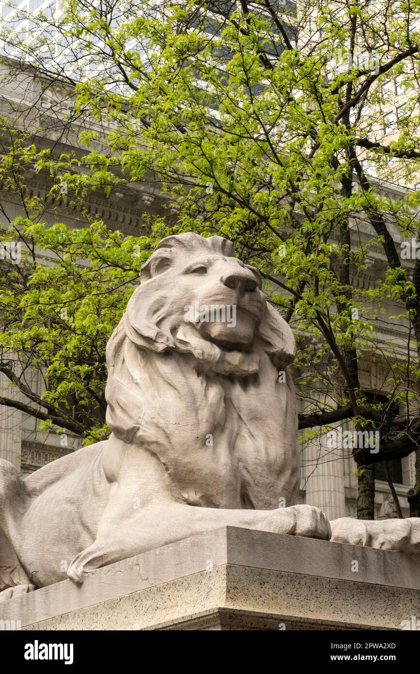 The Lion Statues, Patience and Fortitude, are historic landmarks in ...