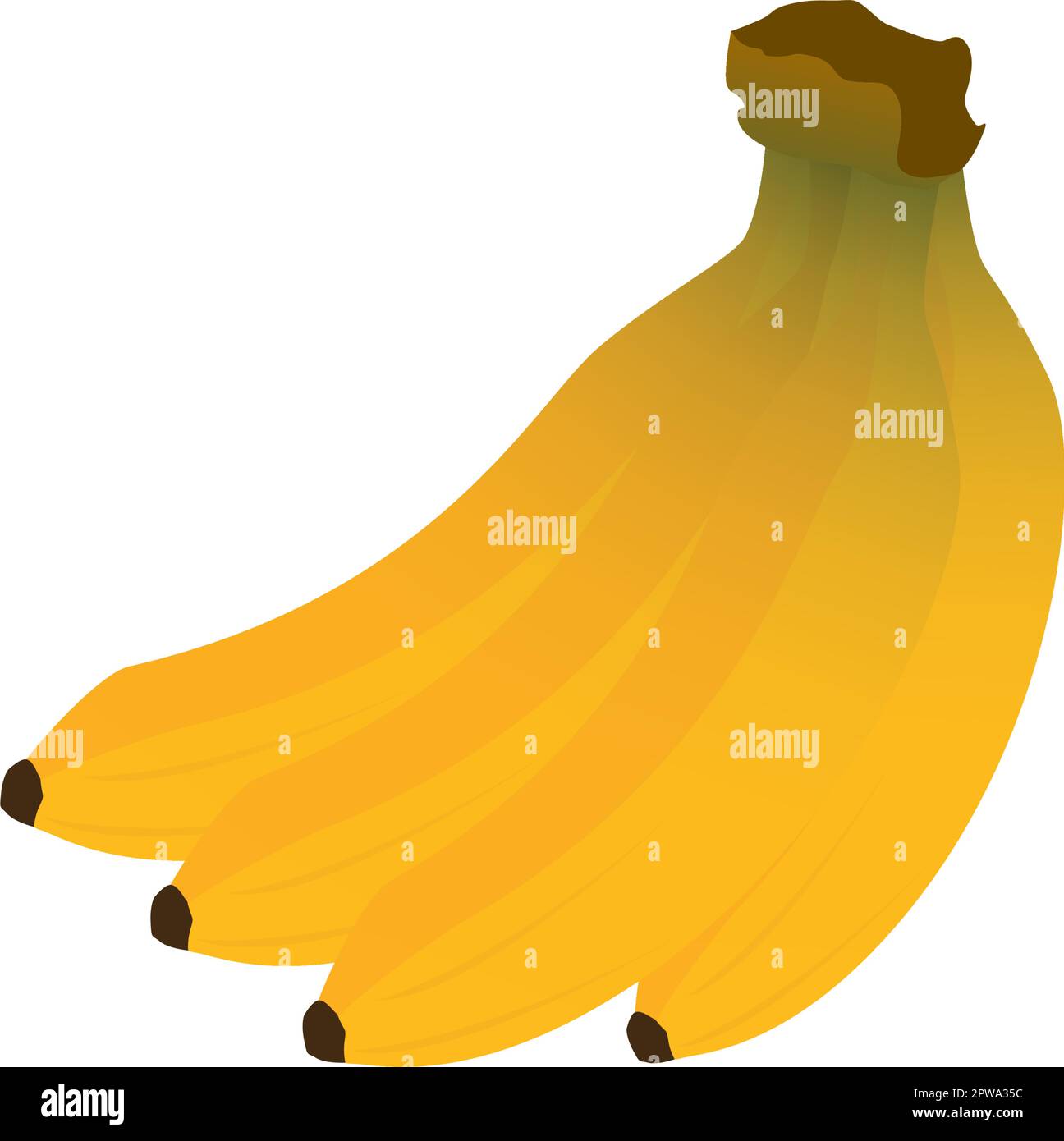 Detailed Banana Illustration With Yellow Color Stock Vector Image & Art ...