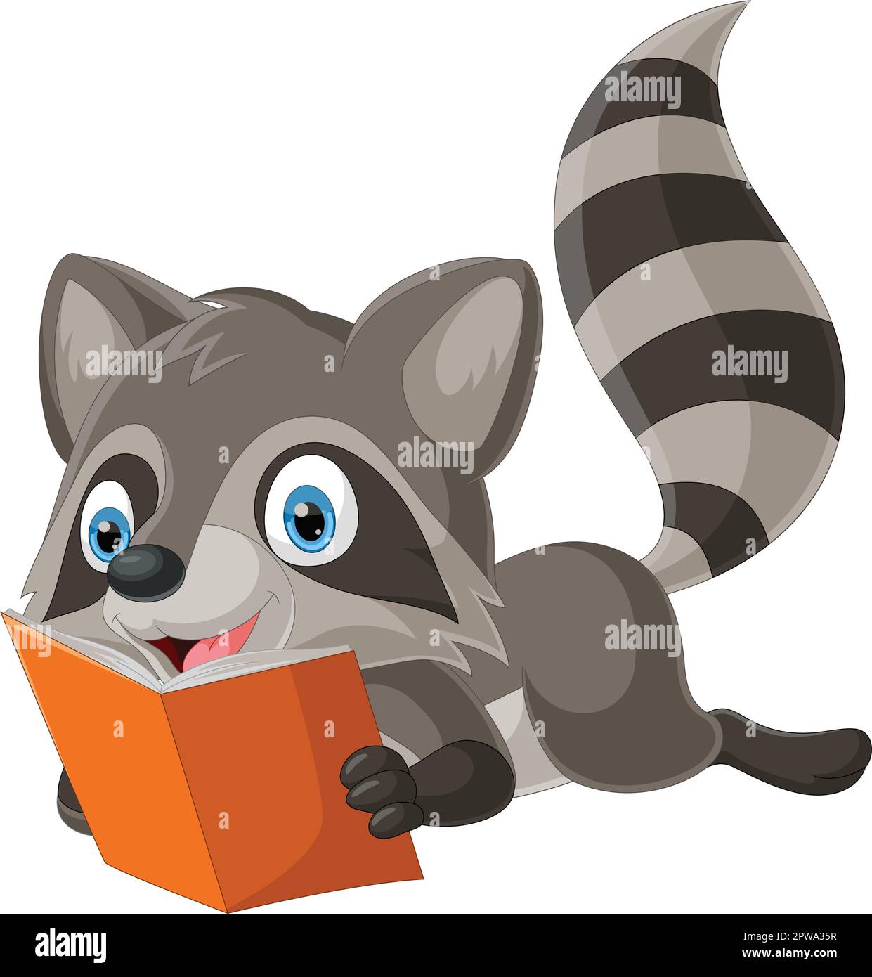 Cartoon raccoon reading a book Stock Vector Image & Art - Alamy