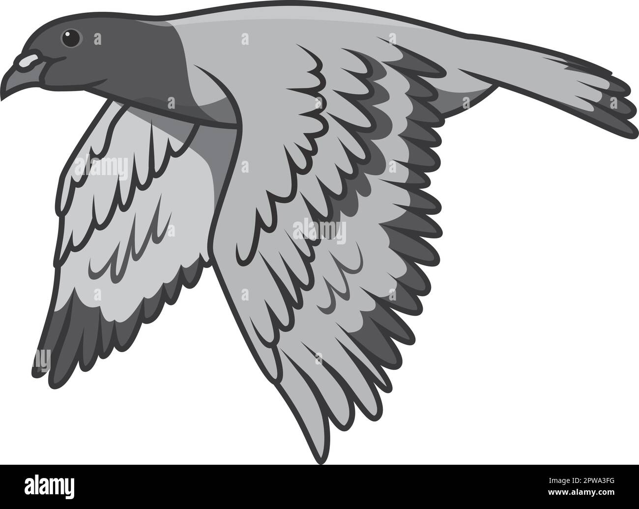 Detailed Flying Pigeon Illustration Stock Vector Image & Art - Alamy