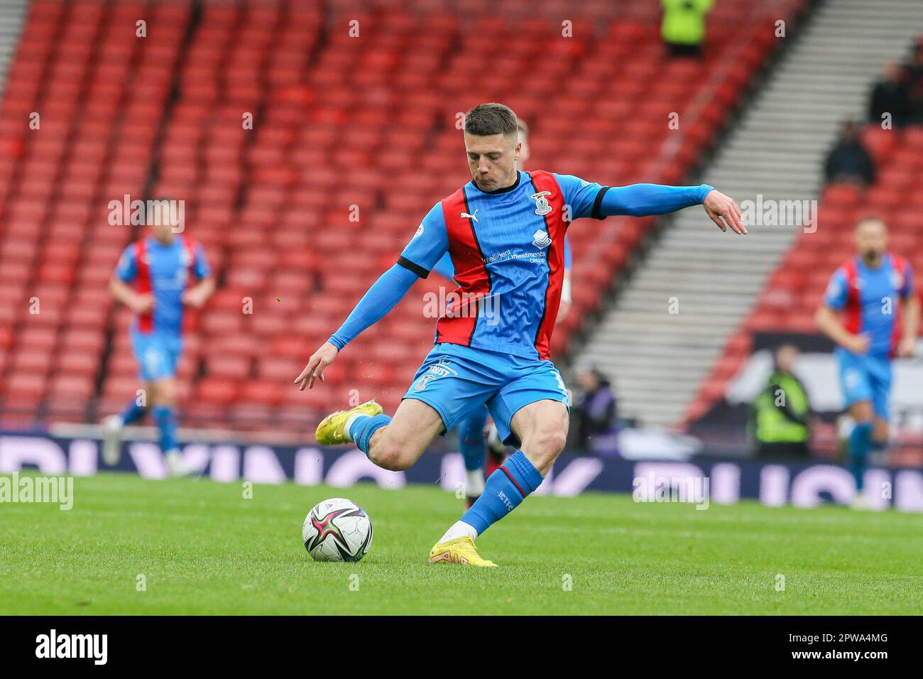 Cally thistle hi-res stock photography and images - Alamy