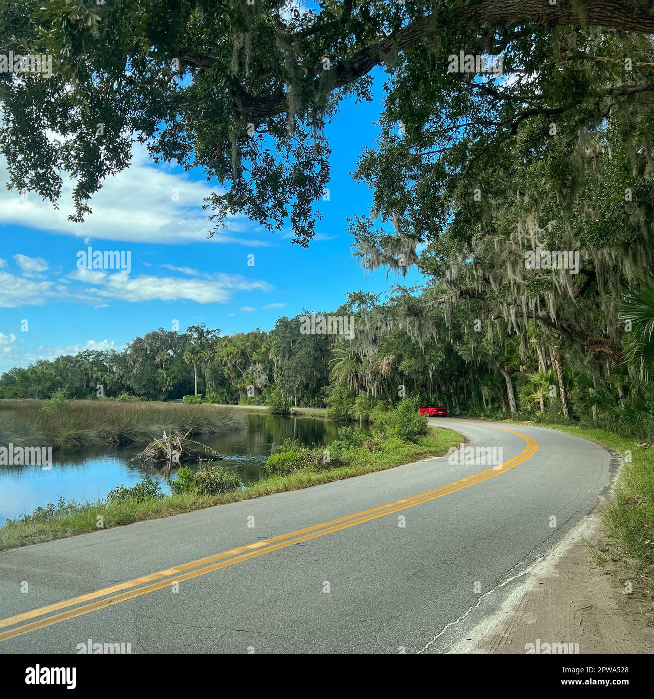 Driving through the marsh area of northeast Florida Stock Photo - Alamy