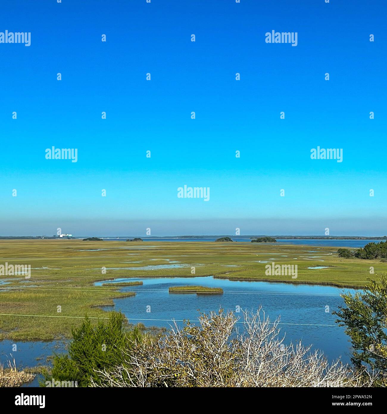 The marsh area of northeast Florida Stock Photo - Alamy