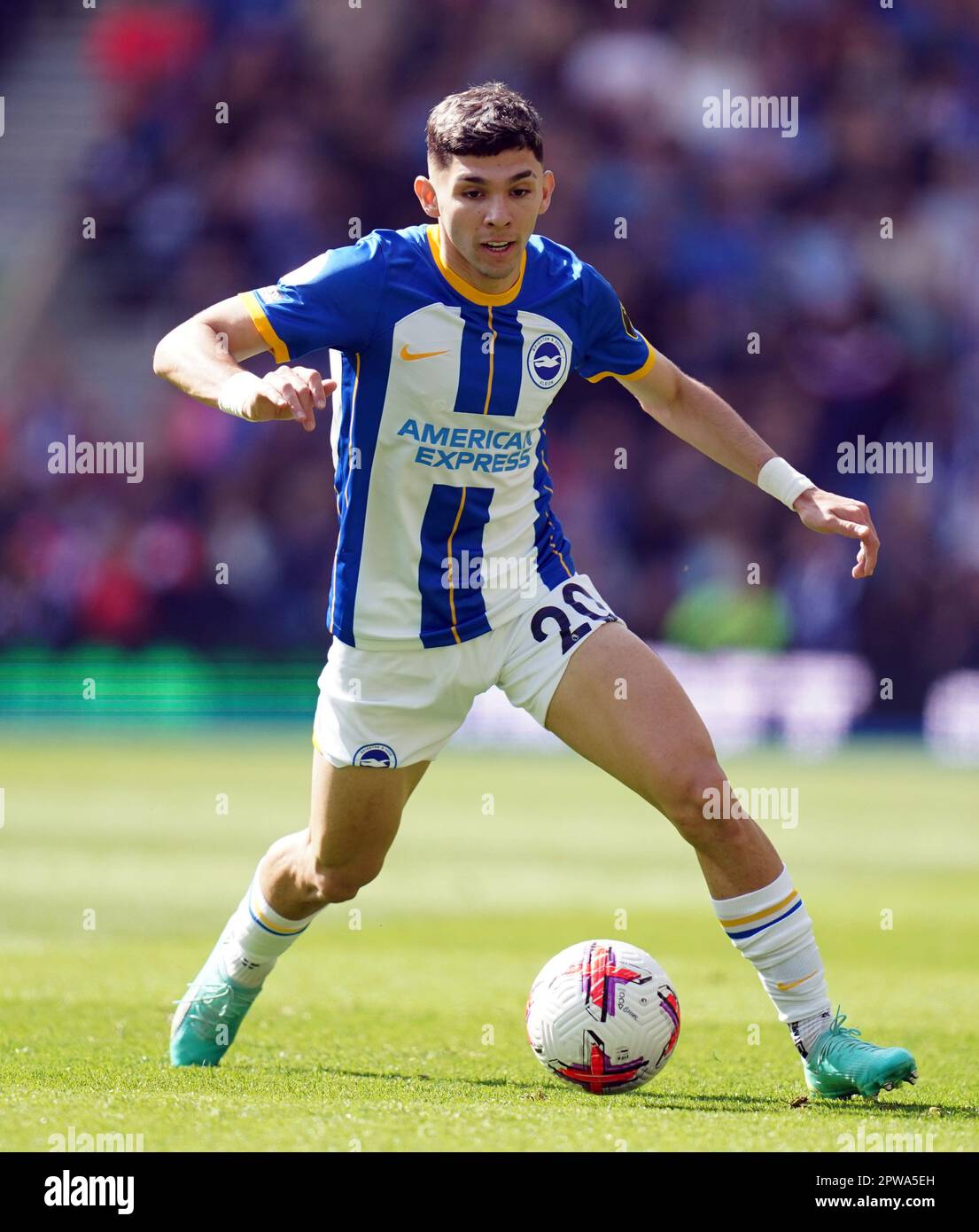 Brighton and Hove Albion's Julio Enciso during the Premier League match ...