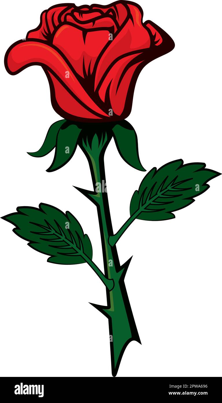 Detailed Single Red Rose Illustration Stock Vector Image & Art - Alamy