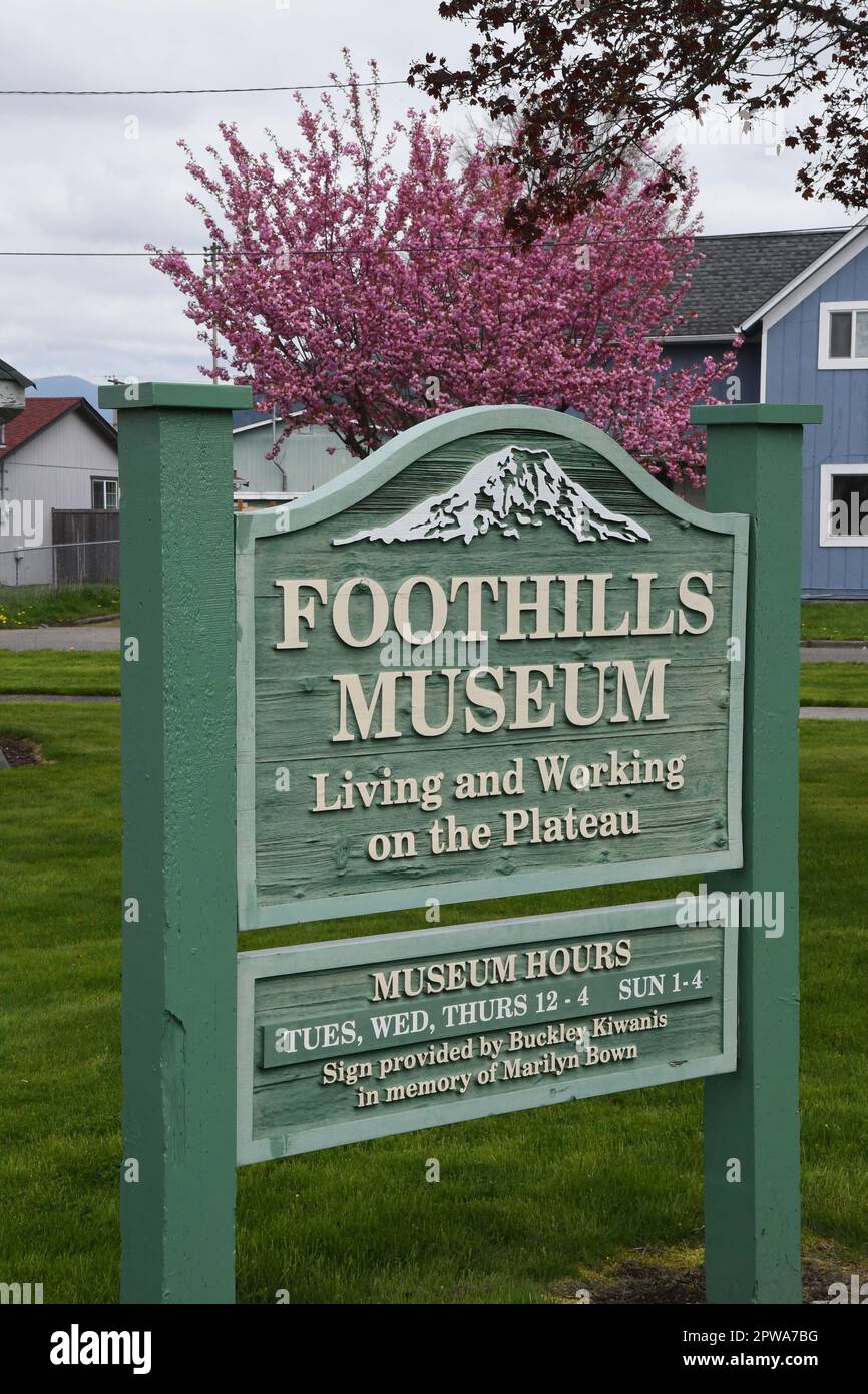 Willys drive inn hi-res stock photography and images - Alamy