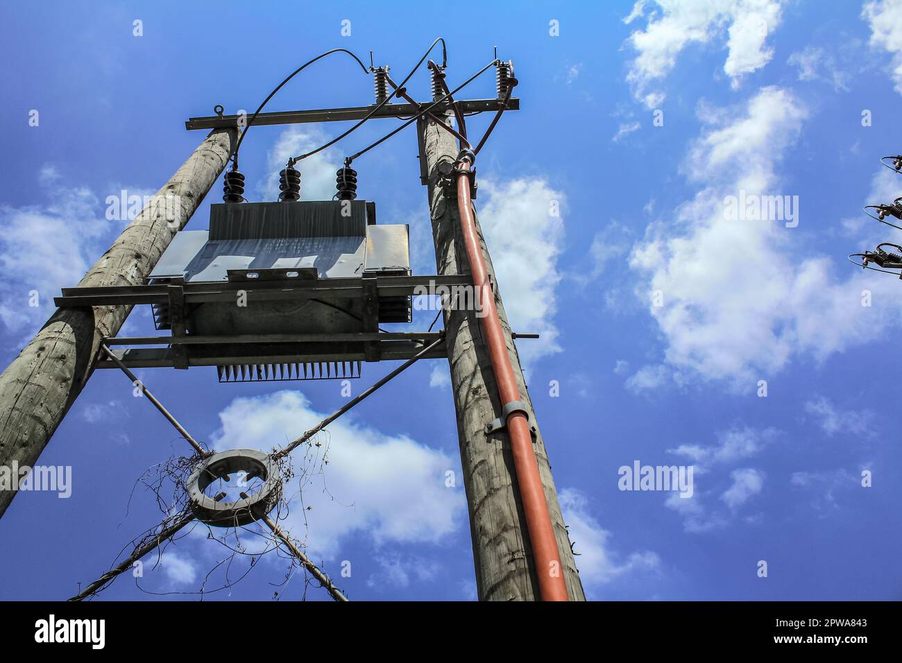 Bottom view of Telephone pole in Hong Kong with blue sky. Illustration ...
