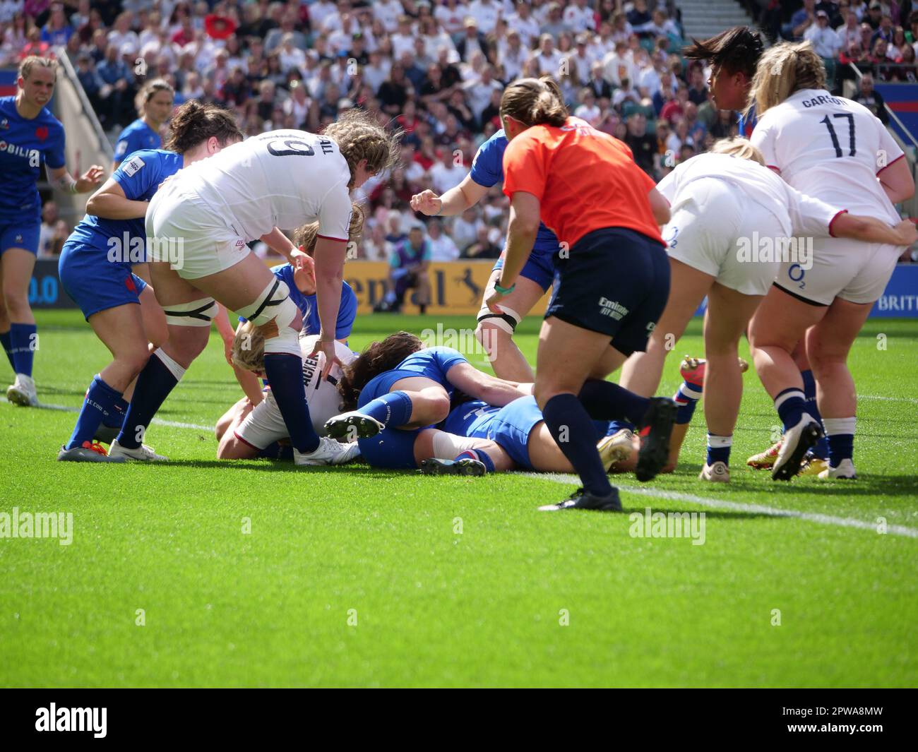 Marlie packer 2023 hi-res stock photography and images - Alamy