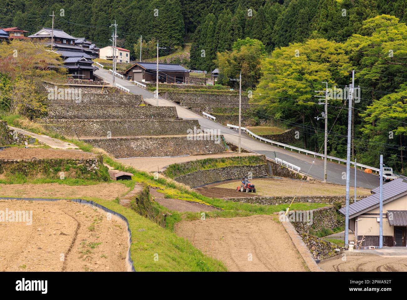 Farmer plows terraced rice fields with stone walls in traditional ...
