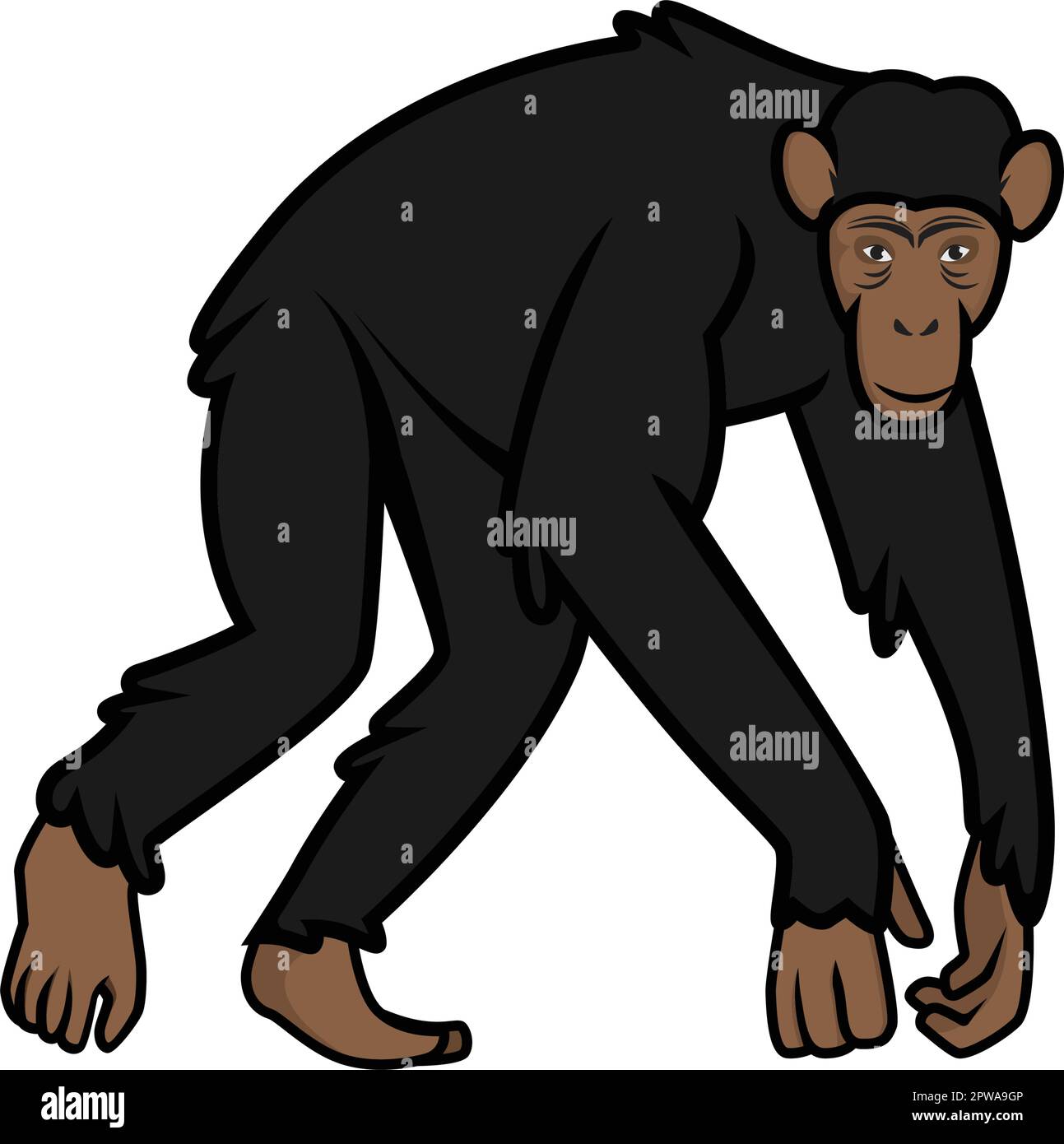 Chimpanzee with Walking Gesture Illustration Stock Vector Image & Art ...