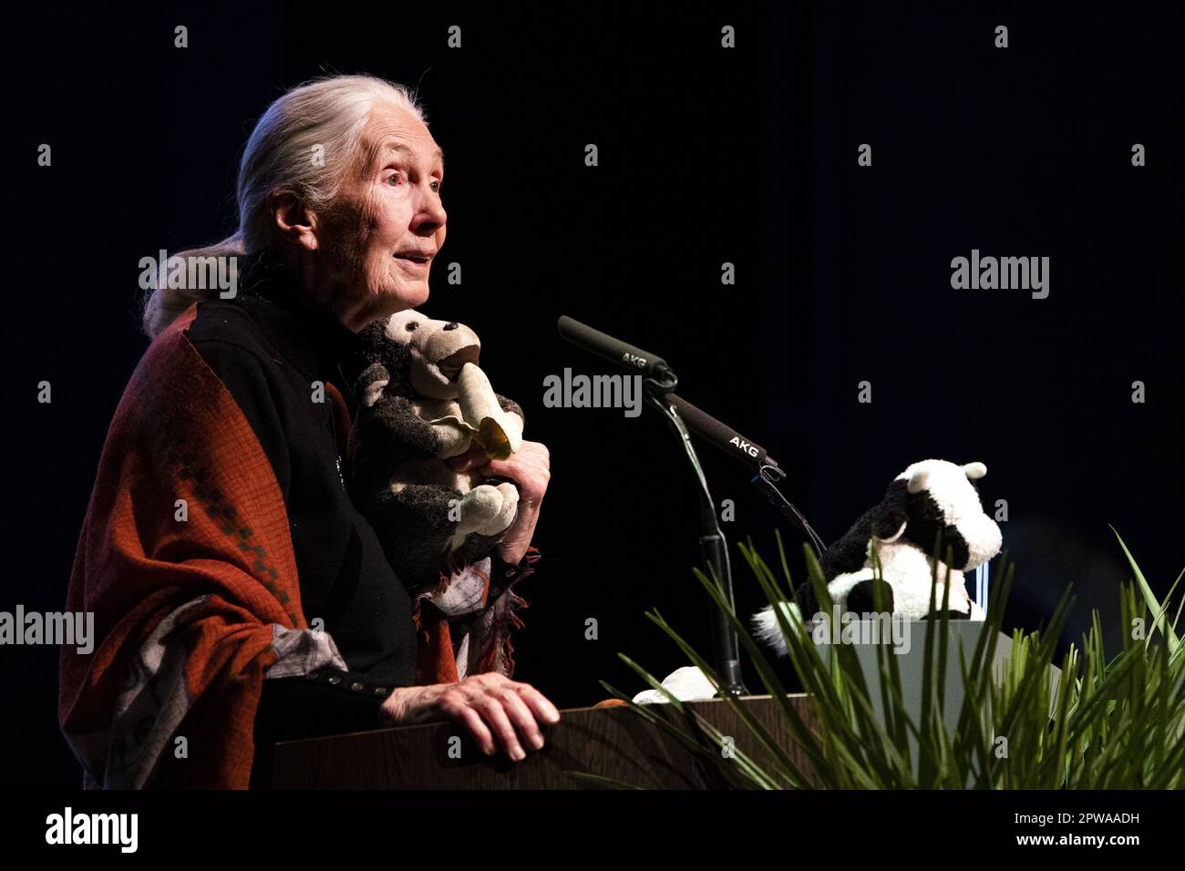 THE HAGUE - Jane Goodall during a lecture at the World Forum. Jane ...