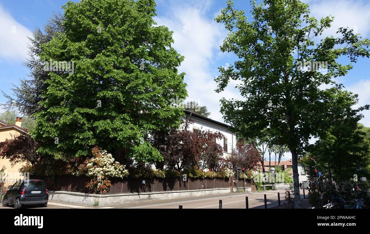 Al parco hi-res stock photography and images - Alamy