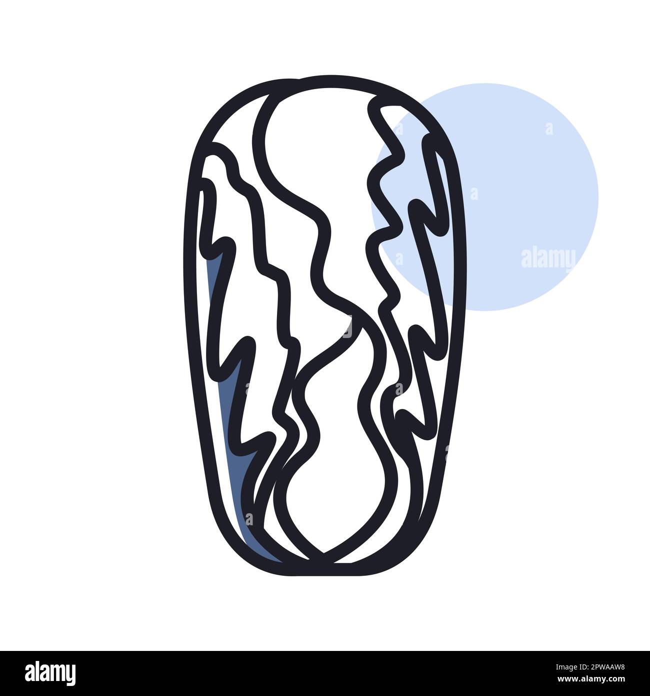 Chinese cabbage isolated vector icon Stock Vector Image & Art - Alamy