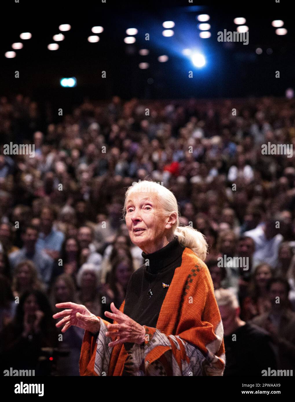 THE HAGUE - Jane Goodall during a lecture at the World Forum. Jane ...