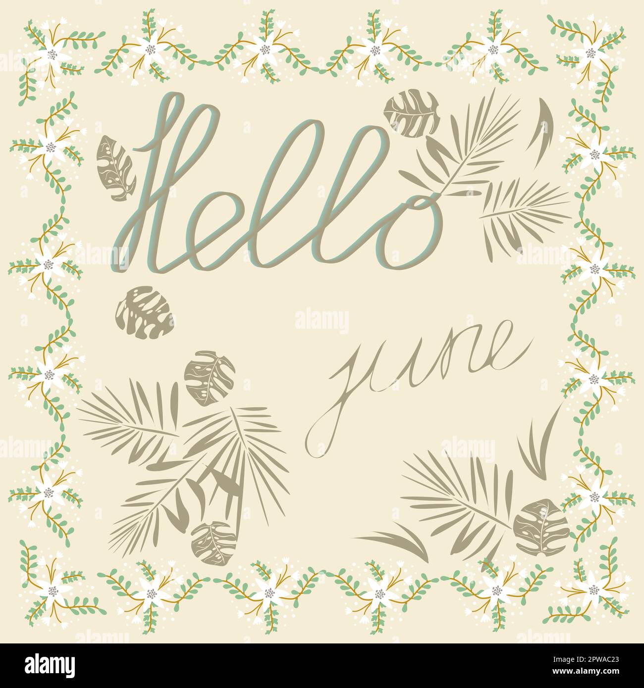 hello june banner square frame of white flowers on a light background ...