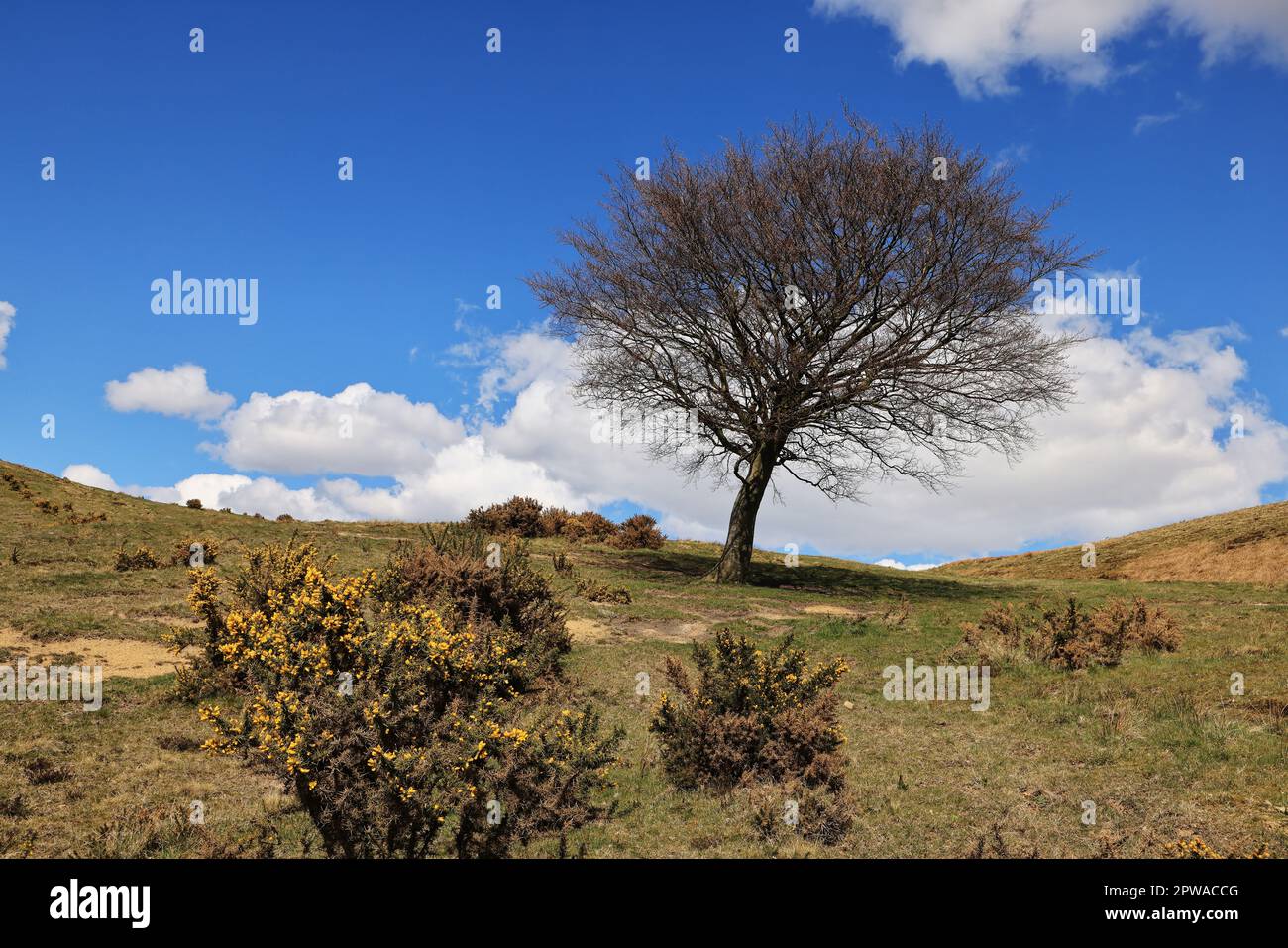 Cheesden valley hi-res stock photography and images - Alamy