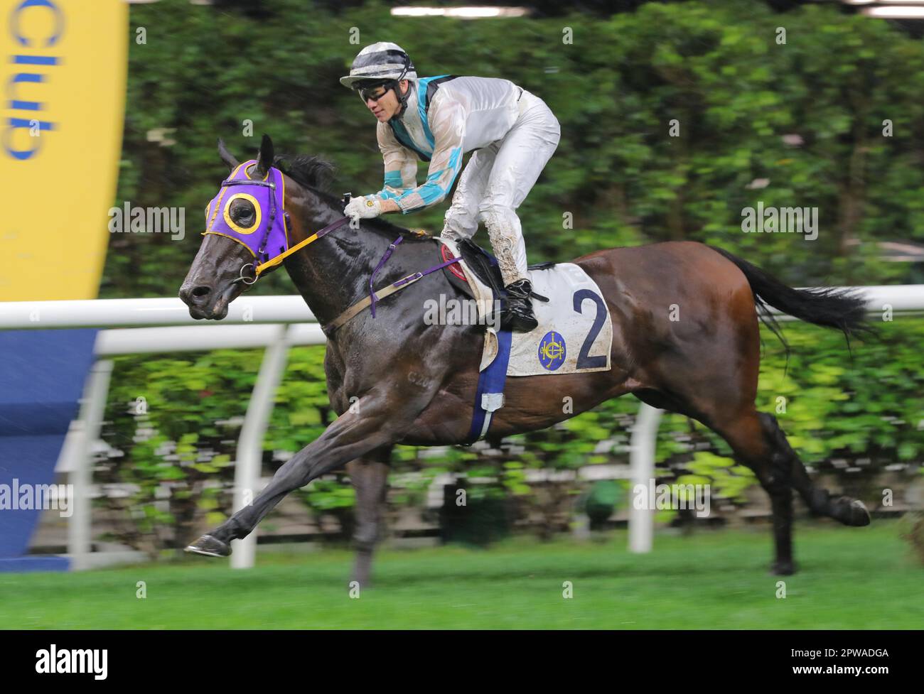 Pak chan hi-res stock photography and images - Alamy