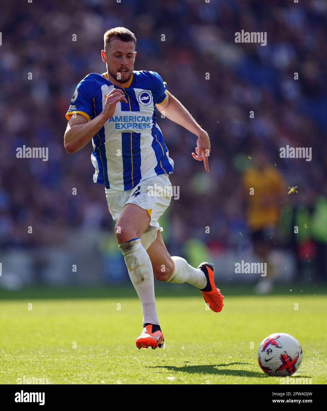 Brighton and Hove Albion's Adam Webster during the Premier League match ...
