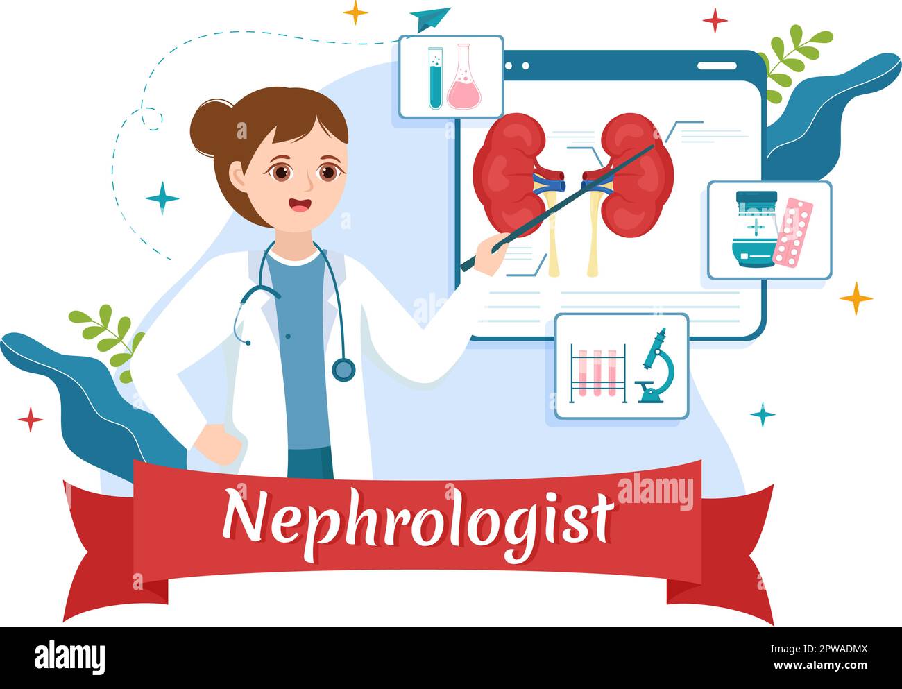 Nephrologist Illustration with Cardiologist, Proctologist and Treat Kidneys Organ in Flat ...